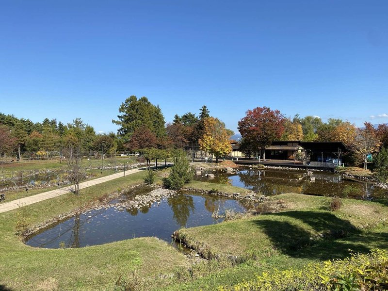 秋のあづみの公園｜あいまる