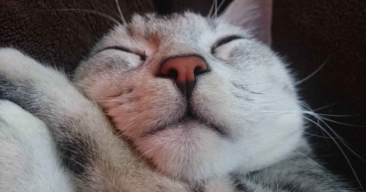 奇跡講座WB実践119 復習107、108｜(Linp&Ruru)本当の自分を知り、本当の自分として生きる｜note