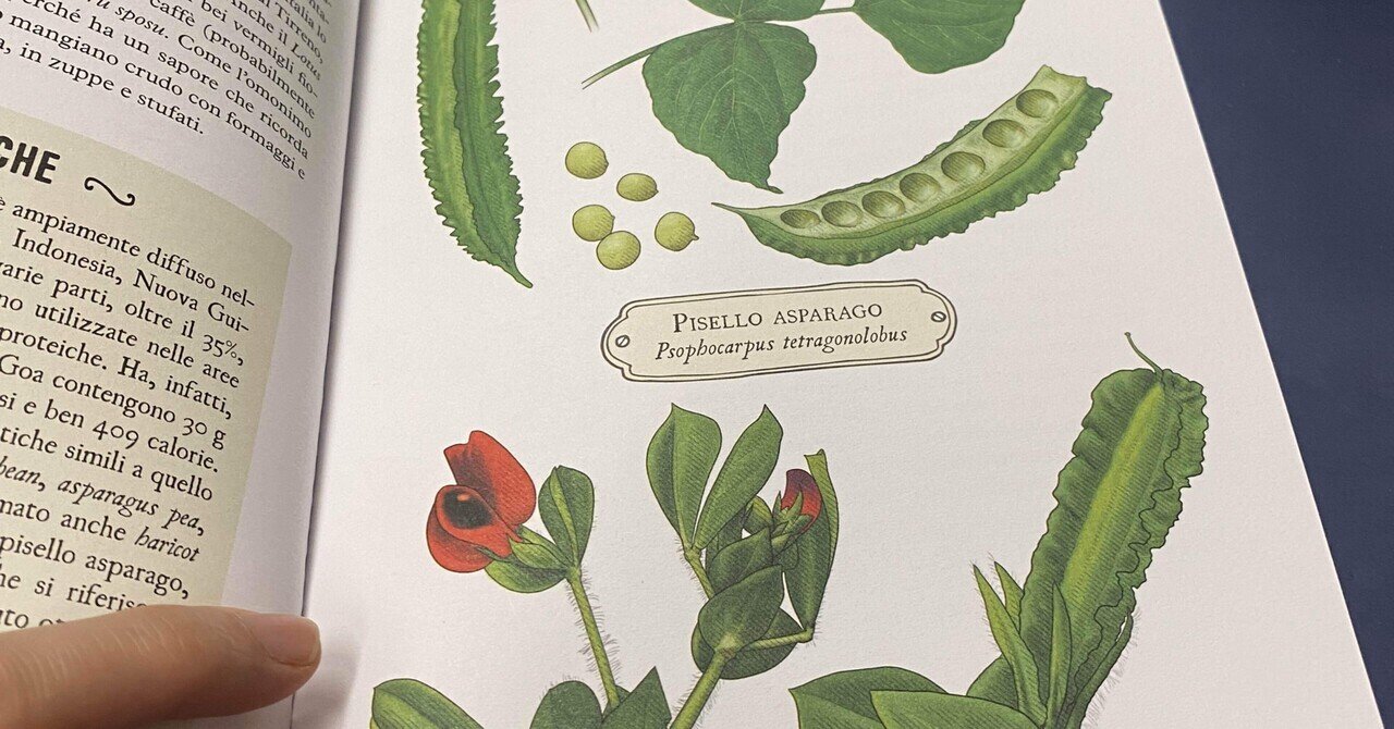 イタリア滞在28日目｜城 拓 / Hiroshi Jo｜note