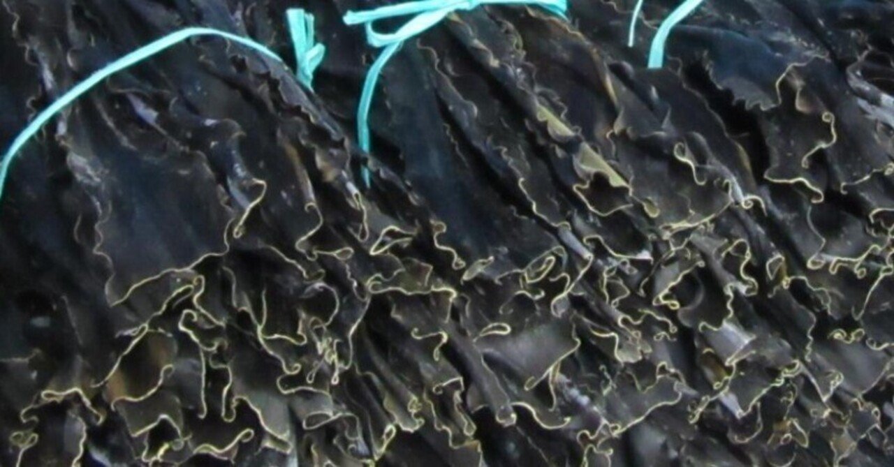 CALSEED®【公式】｜note