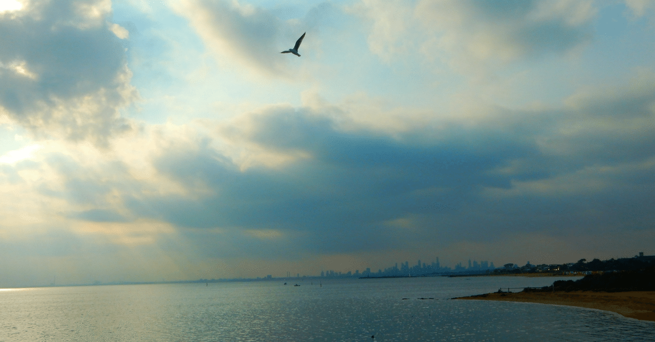 わたしが就活を乗り切った「＃思い出の曲」 Superfly『The Bird Without Wings』｜小浦 みずか｜note