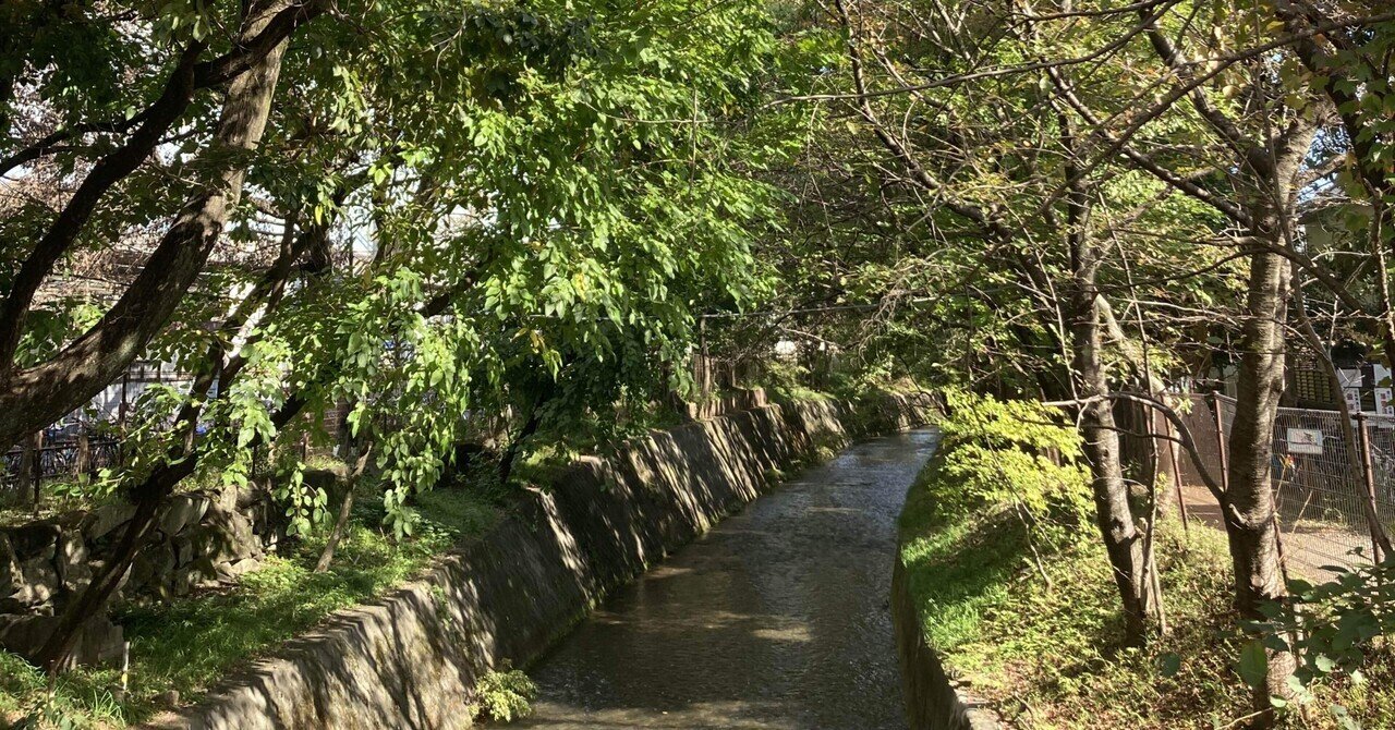 【体調不良】風邪を引いたら相当体力が落ちて髪が傷んだし道路族が暴れてるから引っ越す(簡単まとめ)｜Twenty【70万PV達成！】