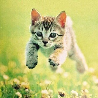 maru（まる）｜note