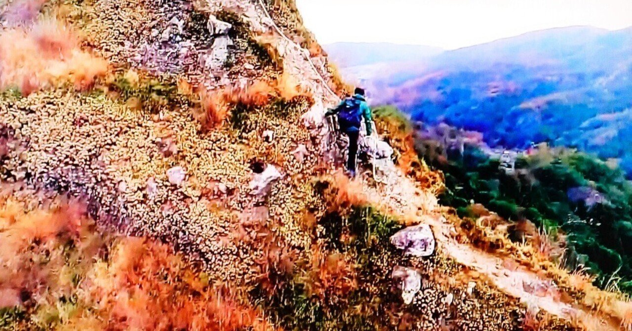 Z世代の若者～国東半島の御仏の道を行く！｜oichan｜note