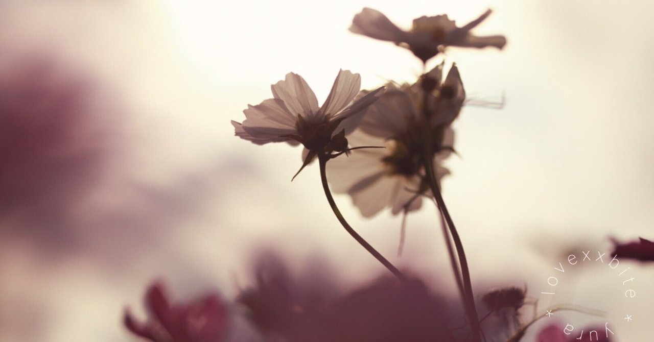 20221031｜yura｜note