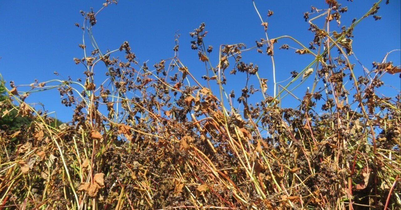 「そういう話はまったく興味がないんだよ。」｜Hiroto