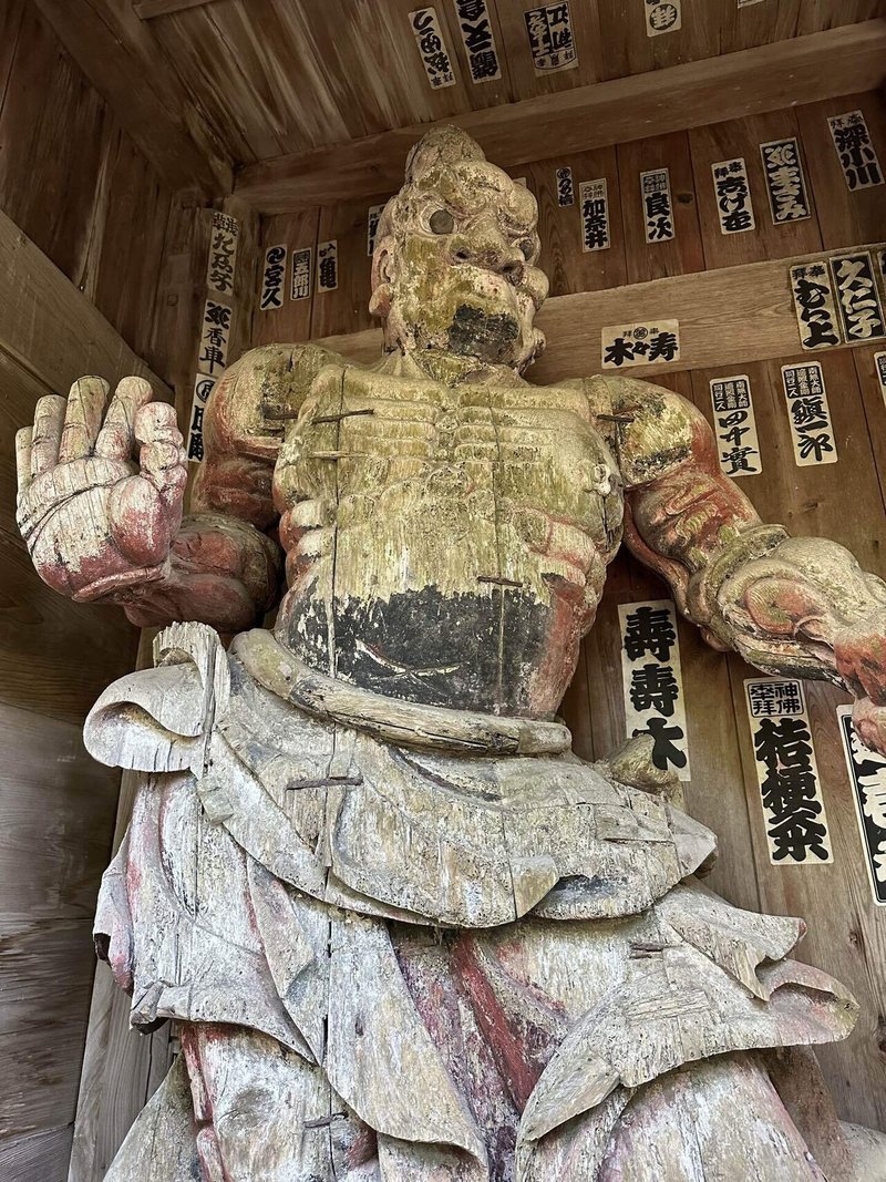 はじめて #CLS高知 に行ってきた。(CLS高知 2022 戻り鰹編)｜NicePapa 平野 尚志｜note