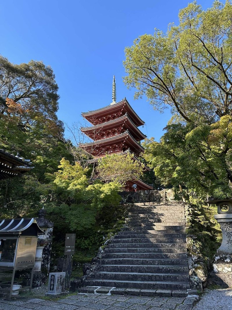 はじめて #CLS高知 に行ってきた。(CLS高知 2022 戻り鰹編)｜NicePapa 平野 尚志｜note