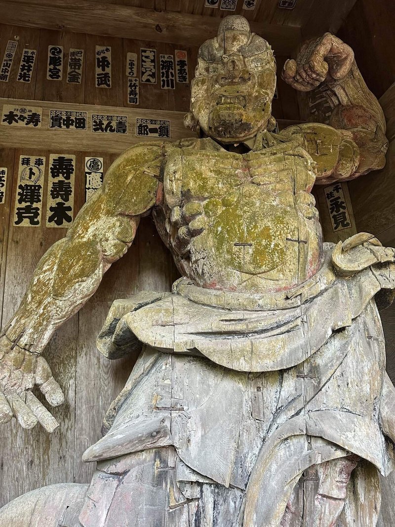 はじめて #CLS高知 に行ってきた。(CLS高知 2022 戻り鰹編)｜NicePapa 平野 尚志｜note