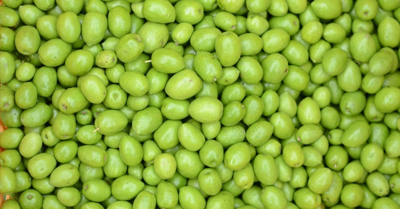 オリーブ収穫体験に参加したらオイルのなかに畑の風景と人の顔が浮かんでみえた｜江六前一郎｜Ichiro Erokumae