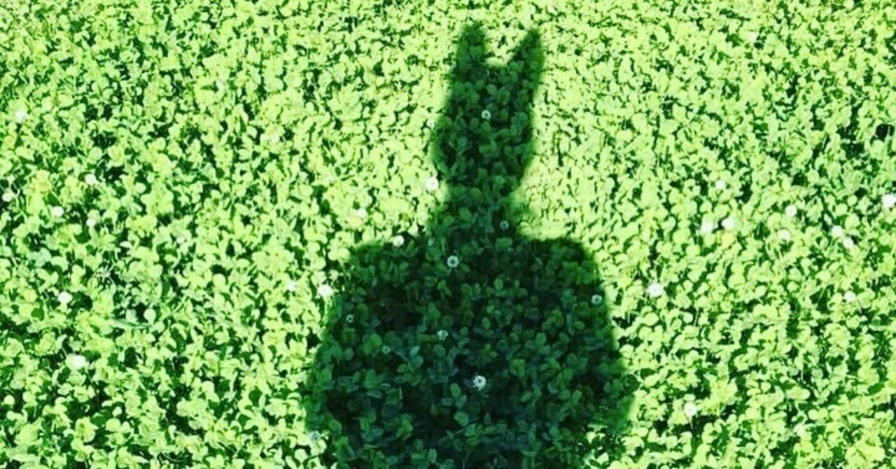 在るからあるのだから｜yuco｜note