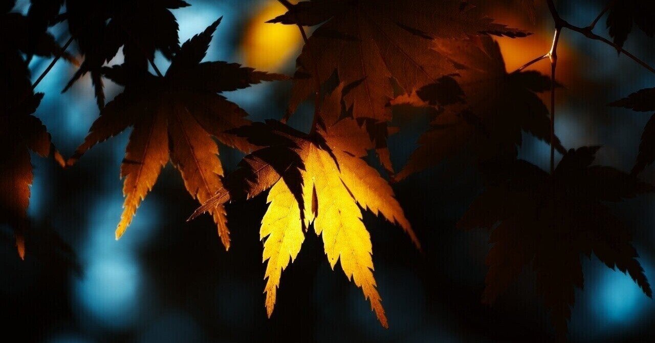 "ちゃんと"の呪いがとけて起こったこと｜Mika Sudo｜note