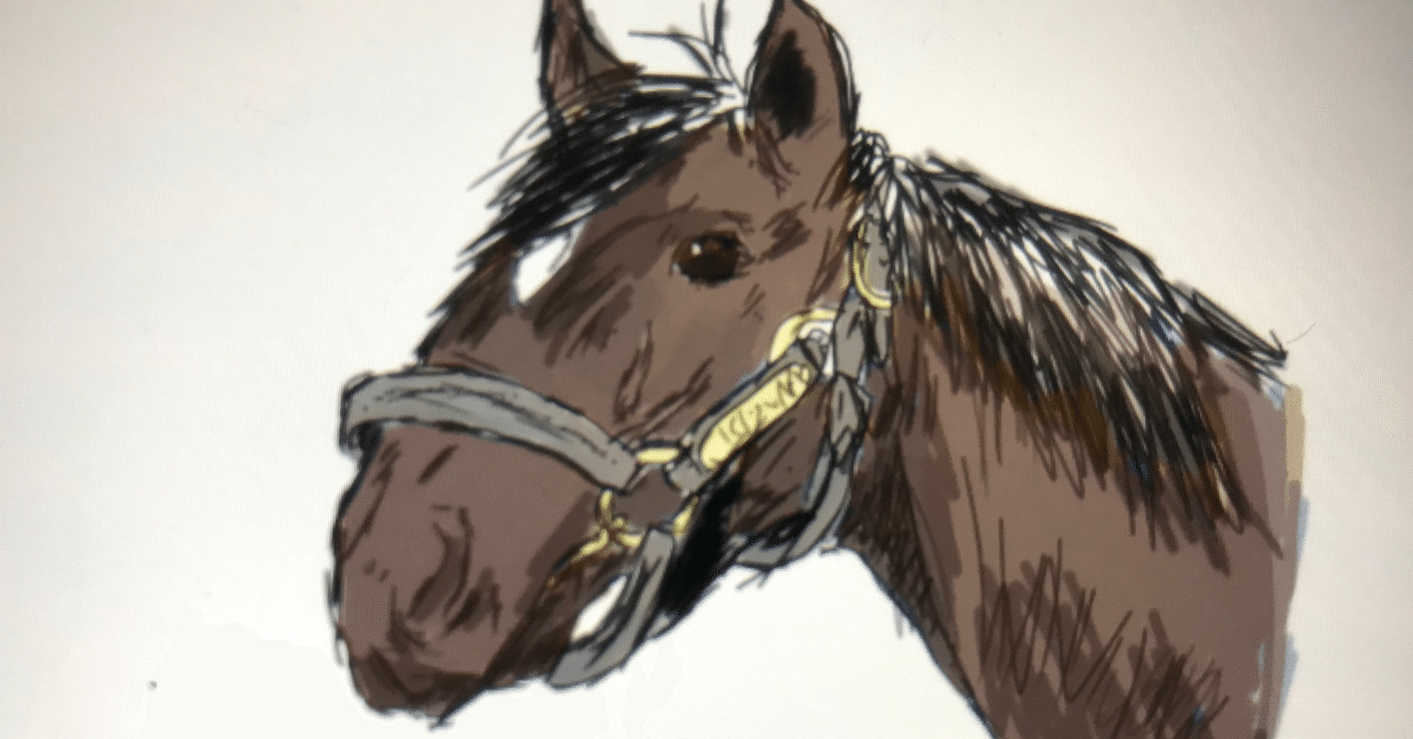 【アルゼンチン共和国杯】【みやこS】1週前追い切り評価🐎｜webwriter_U｜note