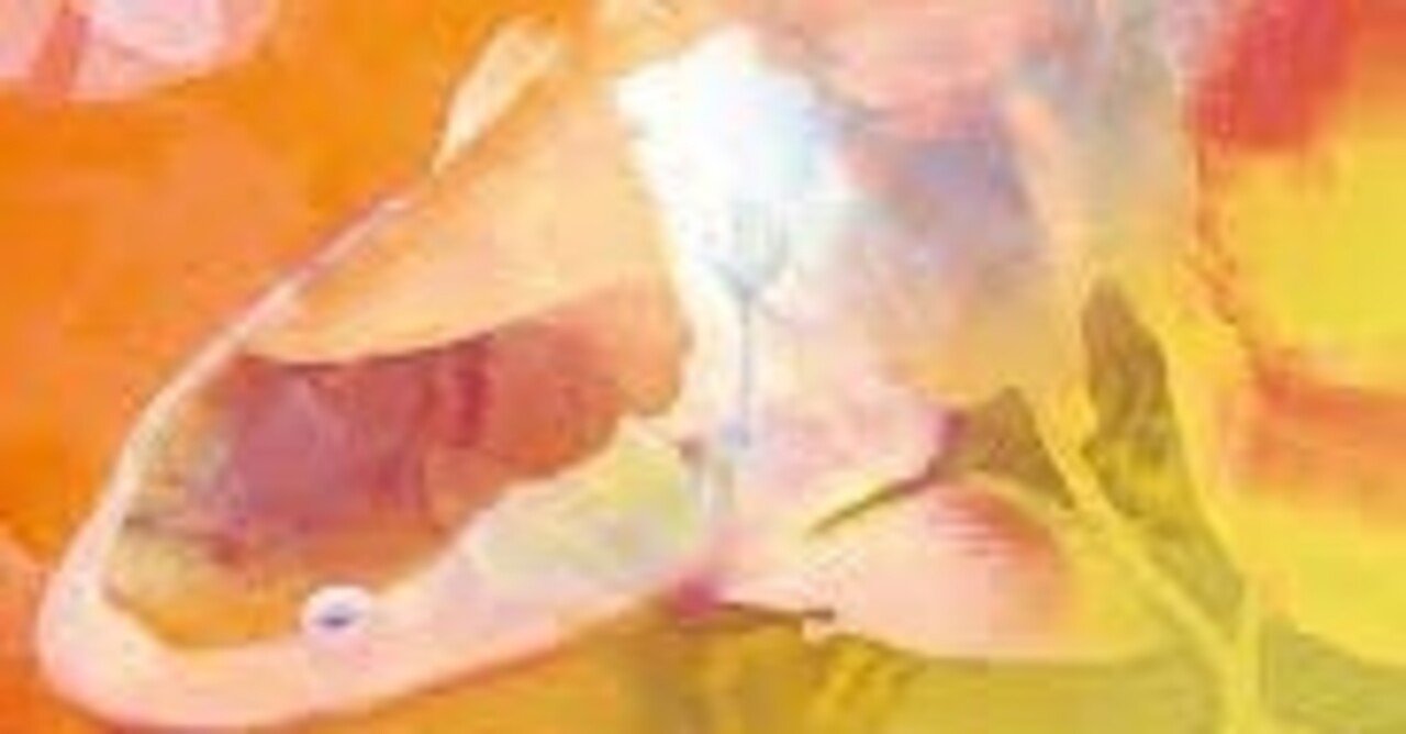 四日市2R15:52🔥🔥🔥｜#ゴロリ #競輪予想 #万車 #開運 #金運｜note