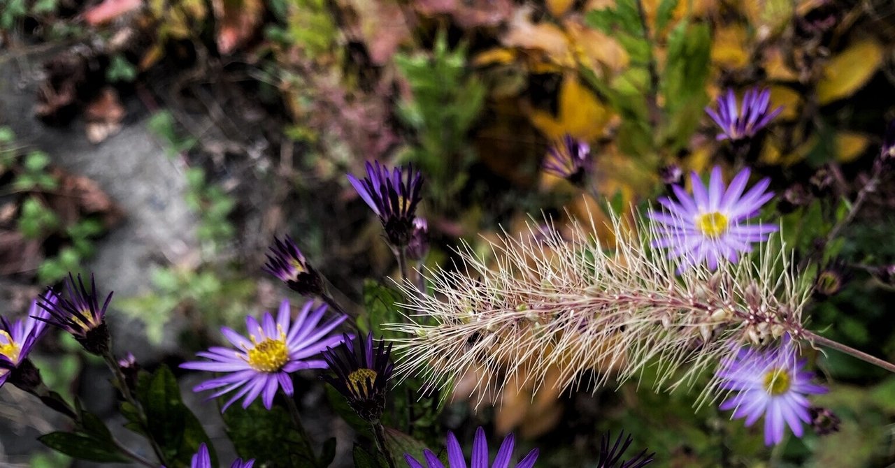 20221102｜たつきち