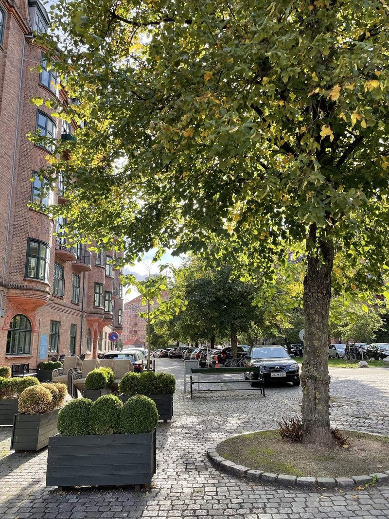 幸福度世界2位 デンマーク人の”幸せ”とは -What's "Happy" for Danish-｜MAYUKO｜note