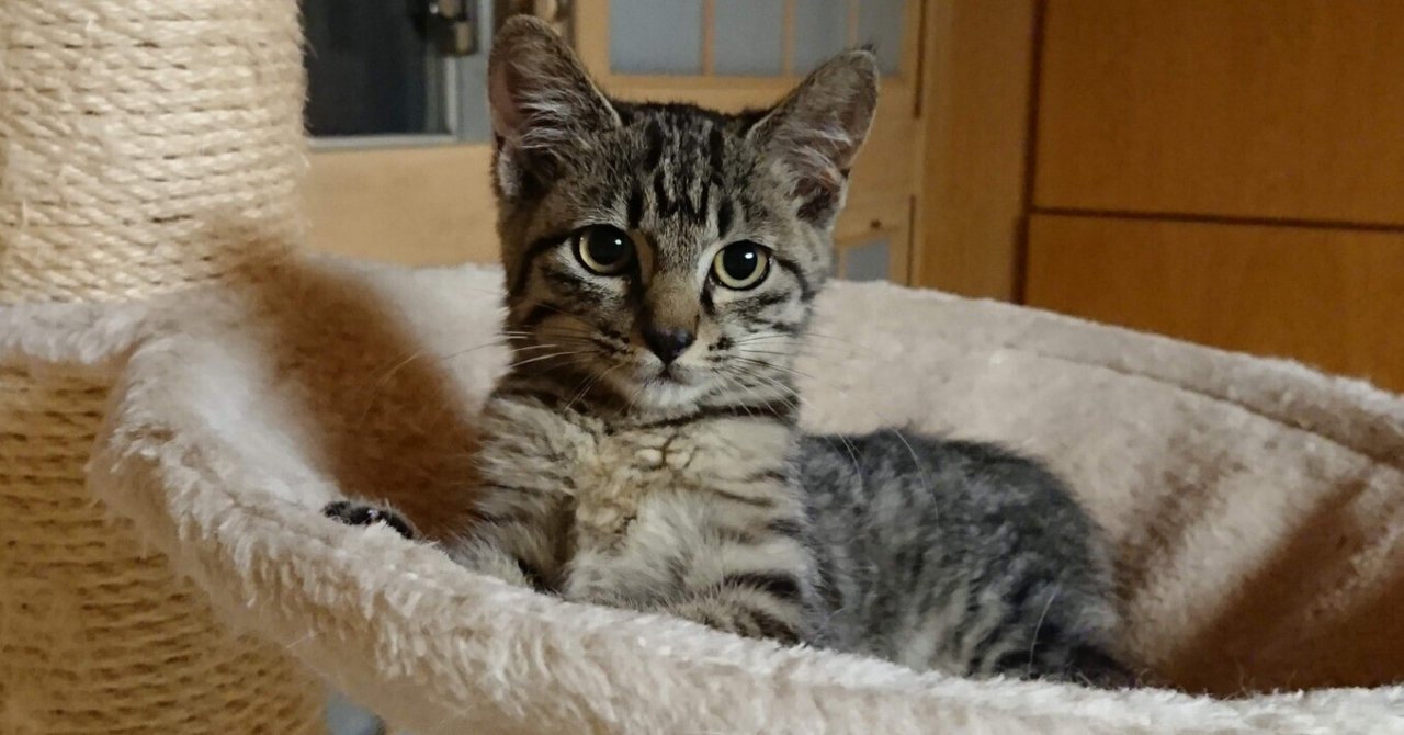 奇跡講座WB実践124 私が神とひとつであることを、思い出せますように｜(Linp&Ruru)本当の自分を知り、本当の自分として生きる｜note