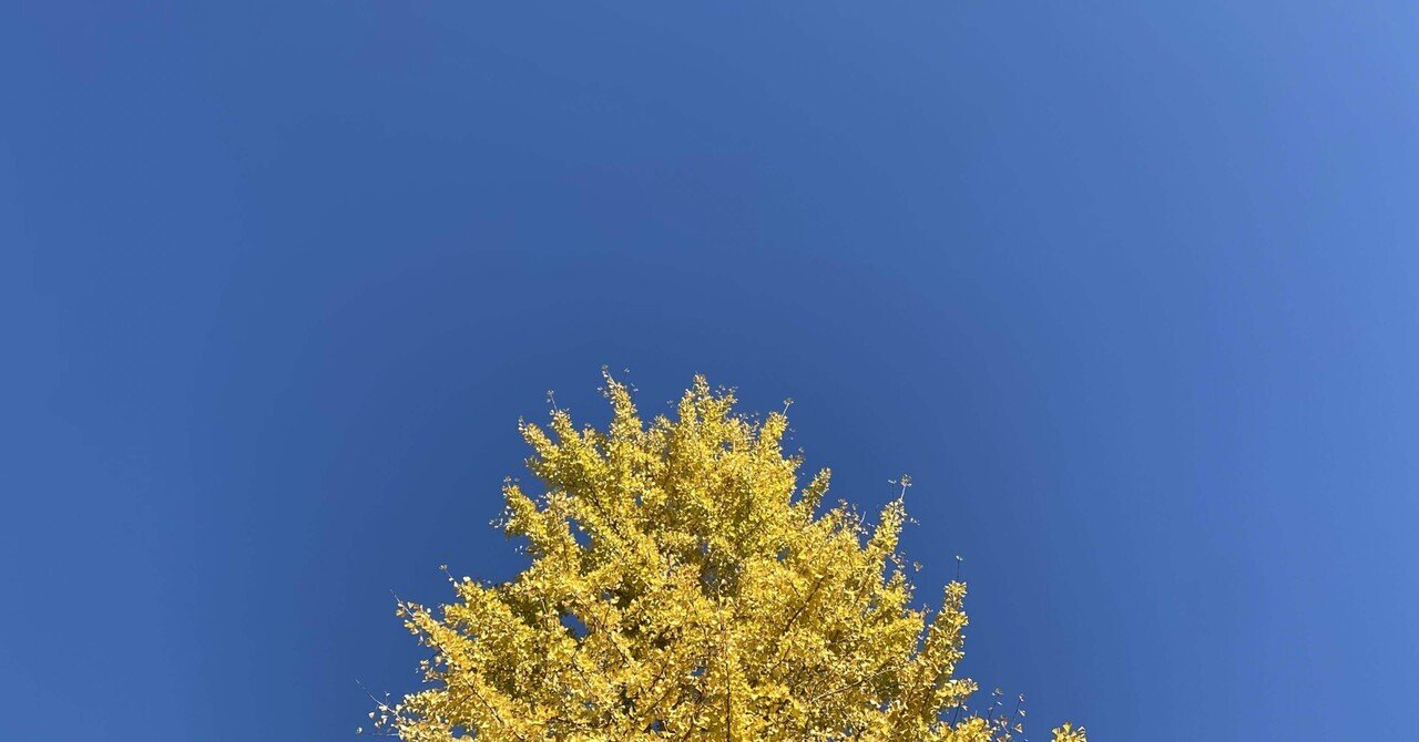 坊主にした時の話｜Misato｜note