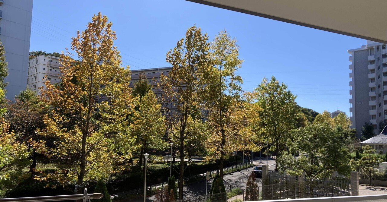 2022/10/30 MIVRO練宮ヶ瀬｜T.Mori