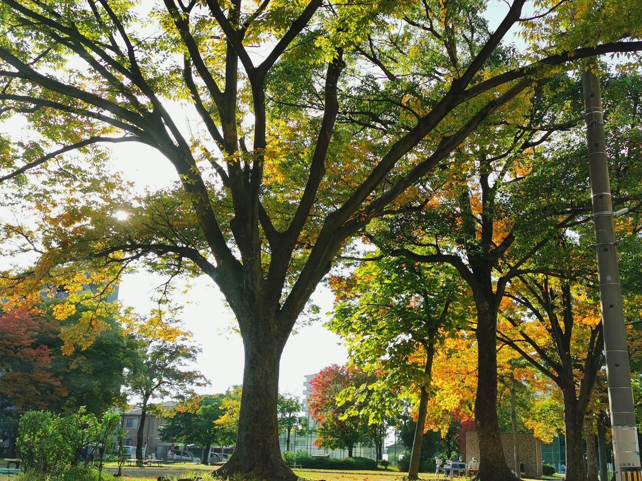 秋なsoraとくもと｜mee