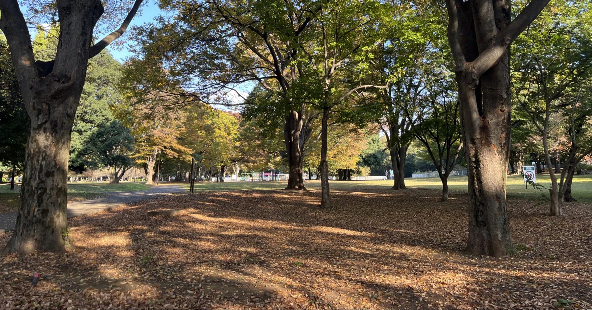 KGON｜note