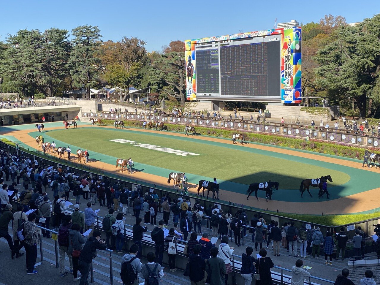 【競馬予想】2022年11月5日(土)東京・阪神競馬場 🔴東京11R京王杯2歳ステークス 注目馬🐴 18番ロンドンプラン破壊力は父譲り大外克服すれば 🔵11RファンタジーS 注目馬🐴 11番 ...