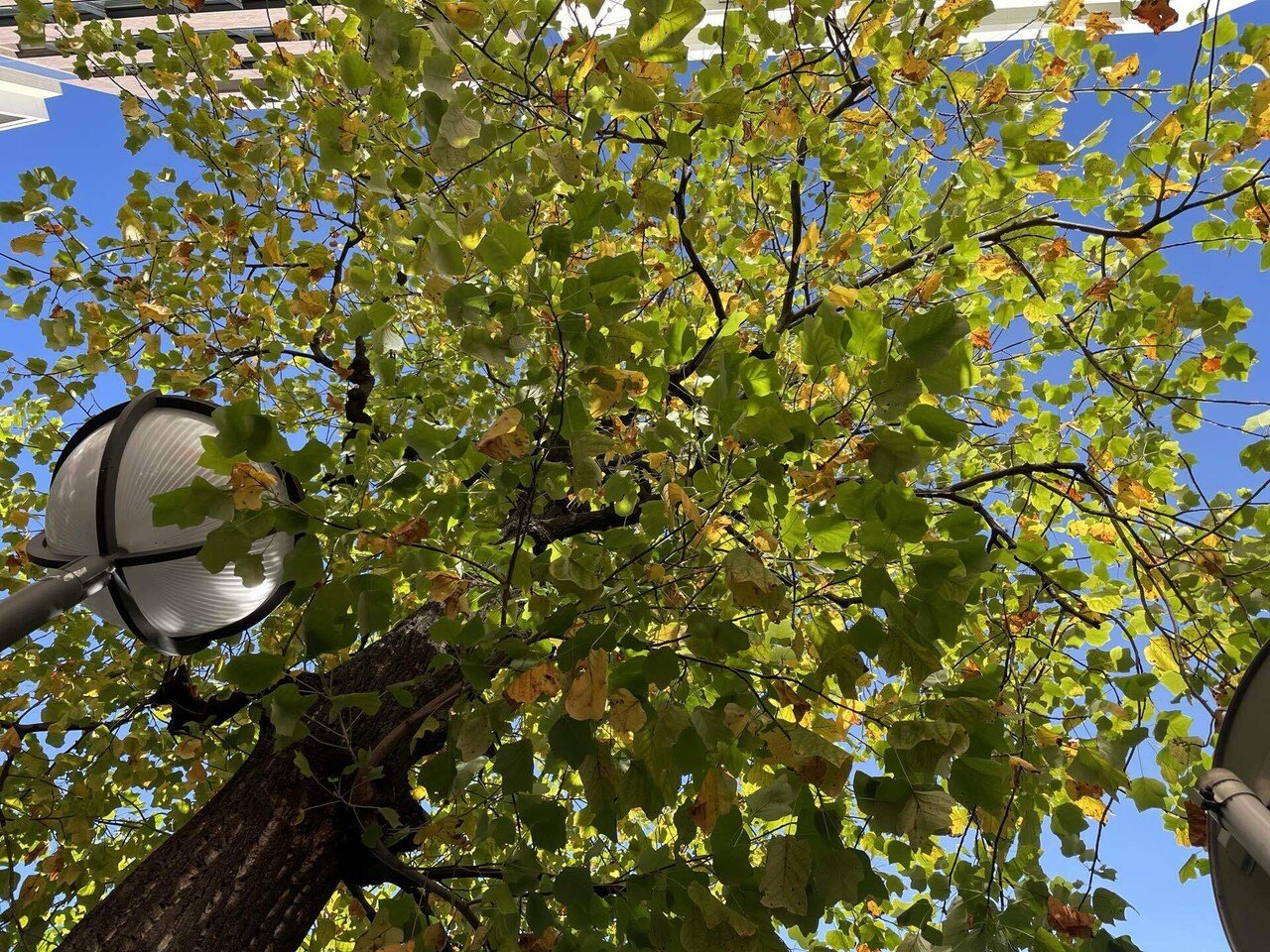 冬近し｜松尾友雪〈Yusetsu Matsuo〉