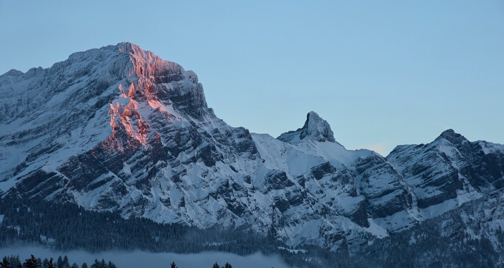 Daichi MIyamoto｜note