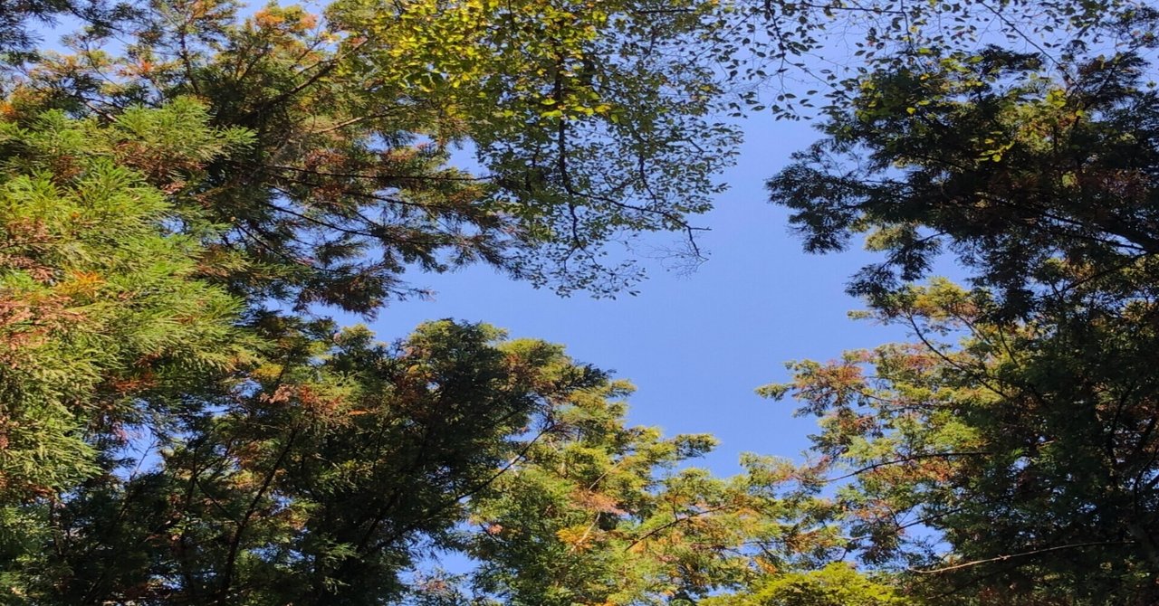 つながり在ること｜志乃田たぐる[Taguru Shinoda]