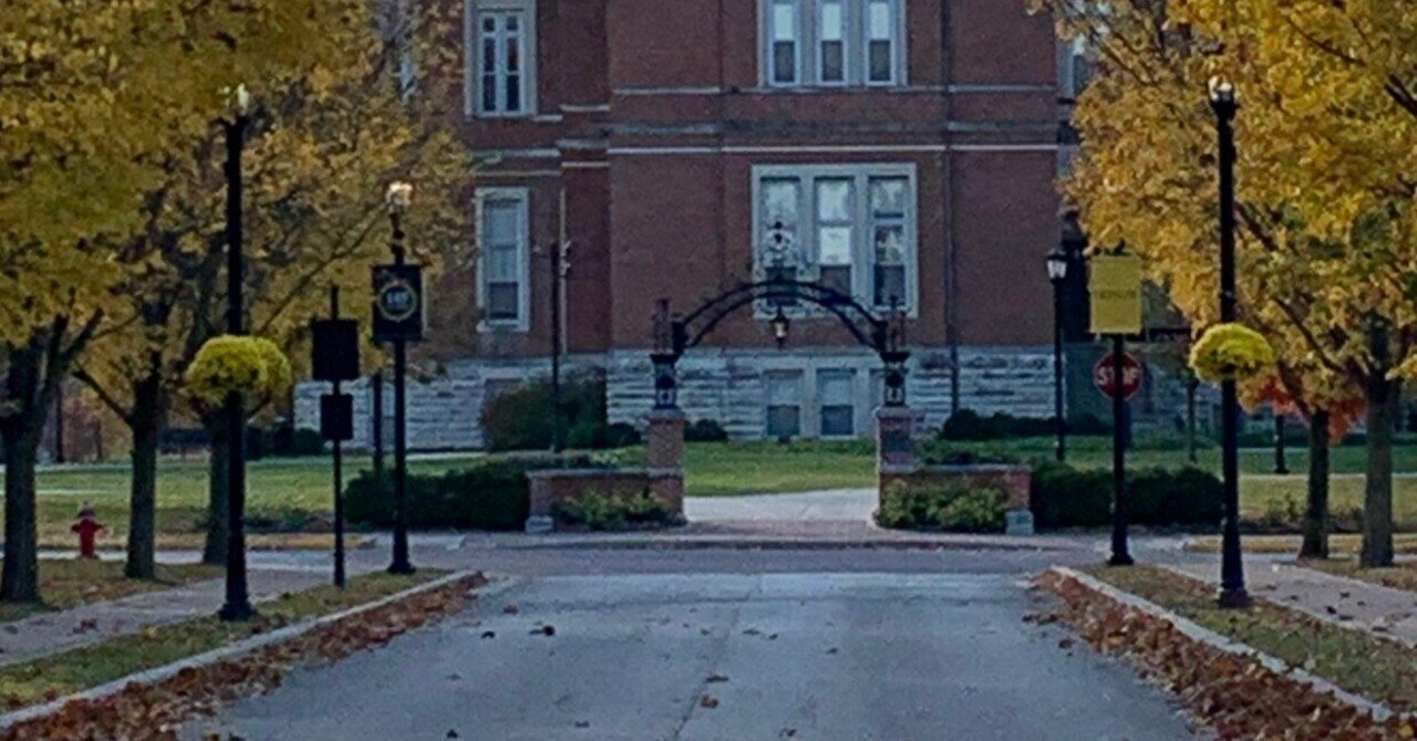 落ち着きのない秋｜Miho Kato