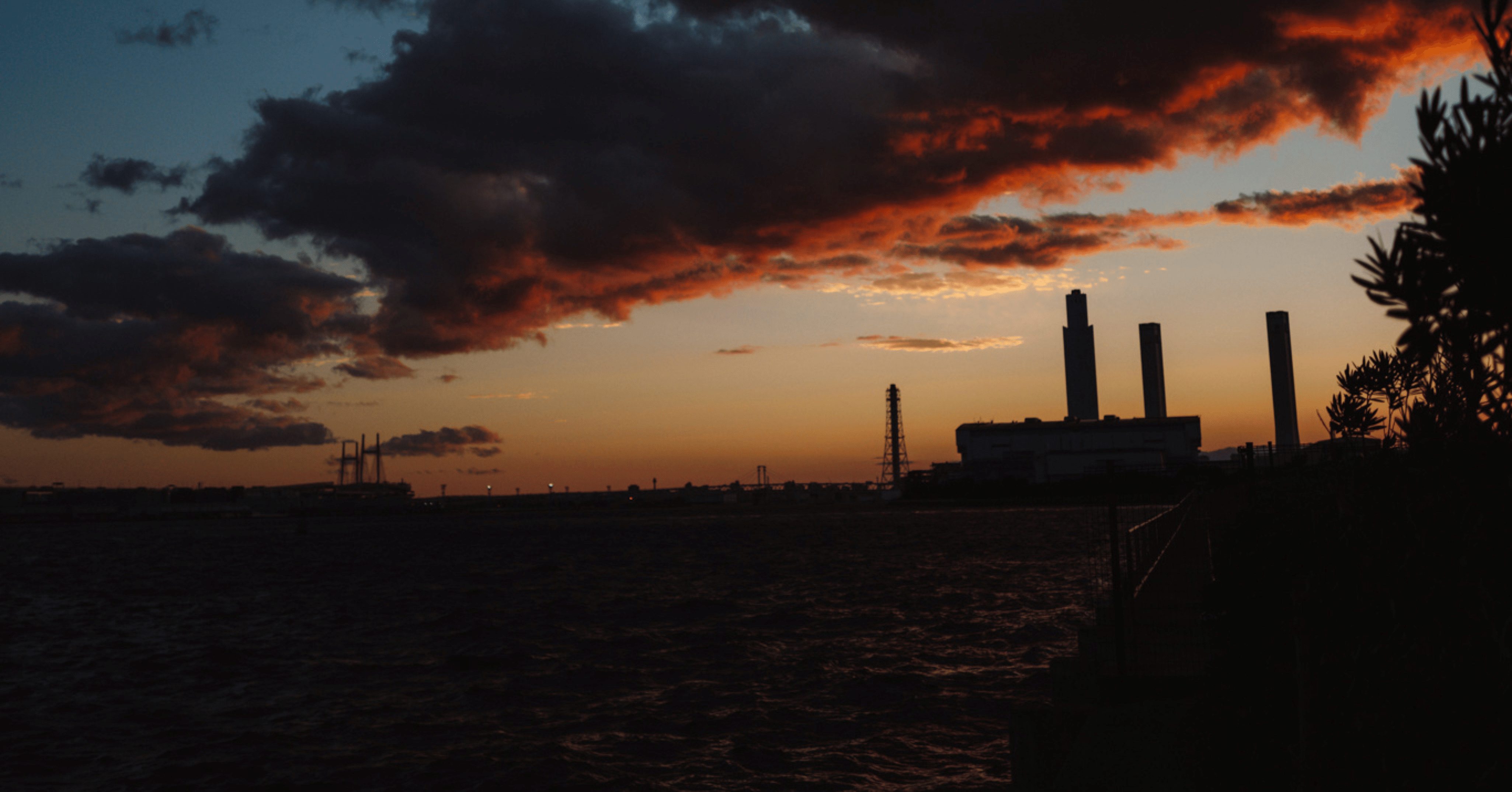 Yuki Kariya /かーりー｜note