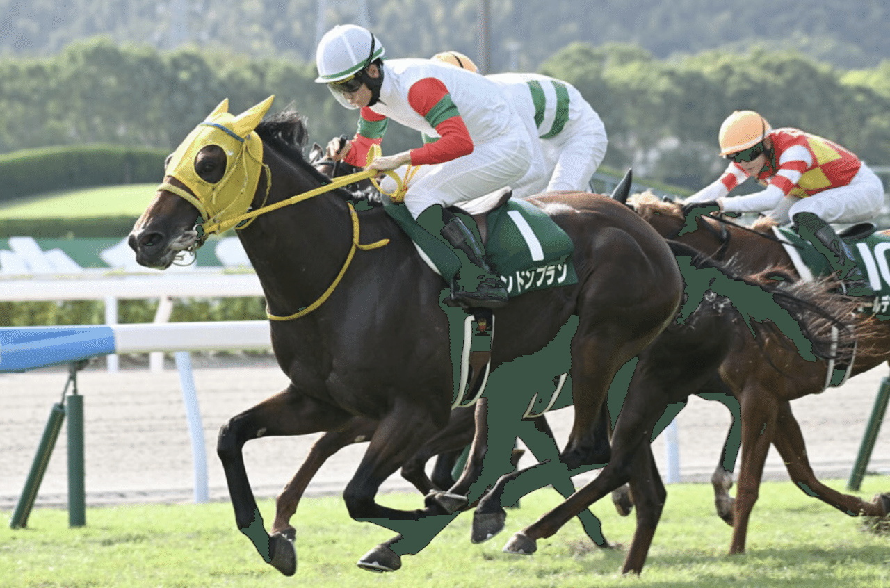 ⭐️11/5京王杯2歳S(GII)予想｜🌰kuriの競馬🌰note