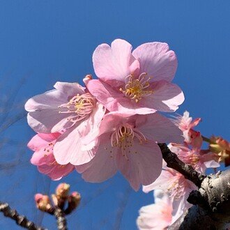 ichi LABOの2022年のノート｜note