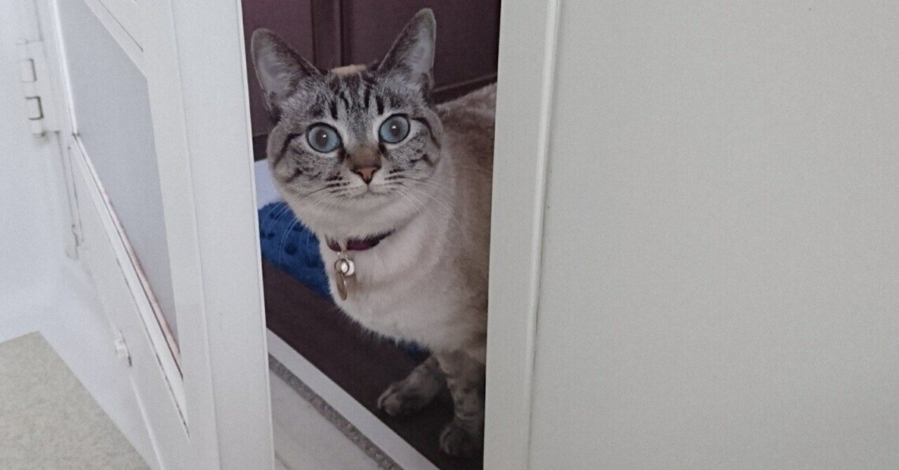 奇跡講座WB実践126 私が与えるものはすべて、私自身に与えられる｜(Linp&Ruru)本当の自分を知り、本当の自分として生きる