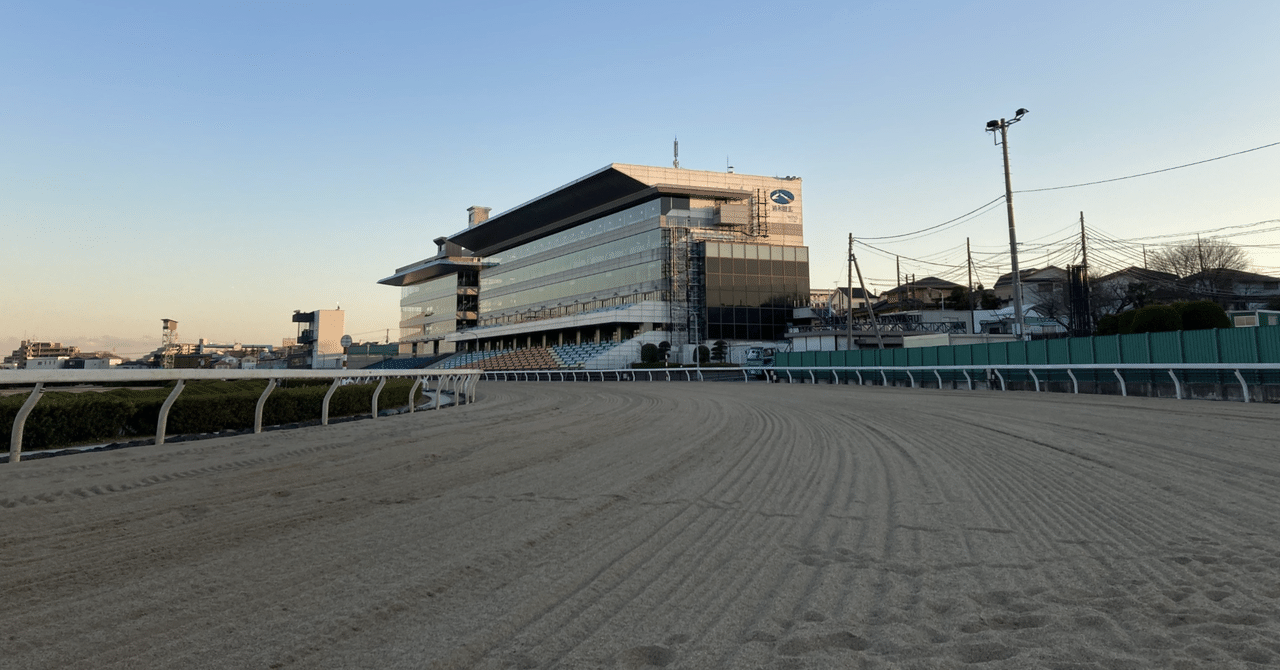 追い切りのパワーがある走りが良かったこの馬を本命に！阪神11R【みやこS】予想🐎｜webwriter_U