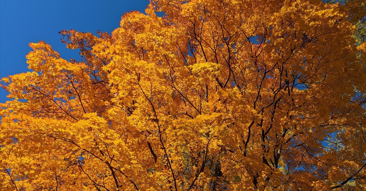 WSLで systemd がサポートされたらしいので確認しました｜jnkykn