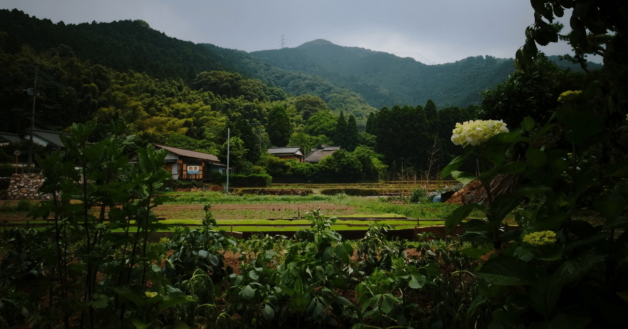 つぶつぶオレンジと円満寺｜Shiro Sasaki