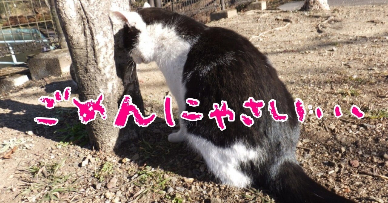 【FX】相場に感情を持ち込んだらダメ！｜roka/FXトレーダー｜note