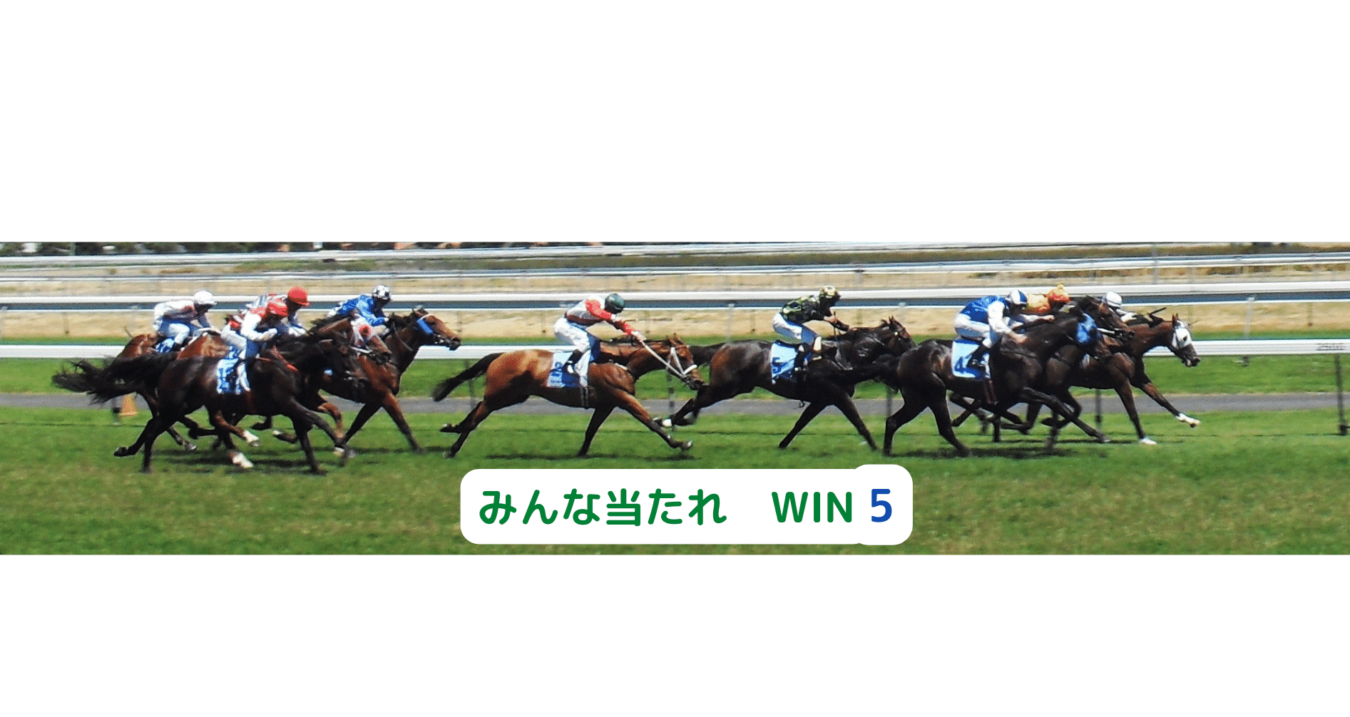 WIN5の買い目！｜note