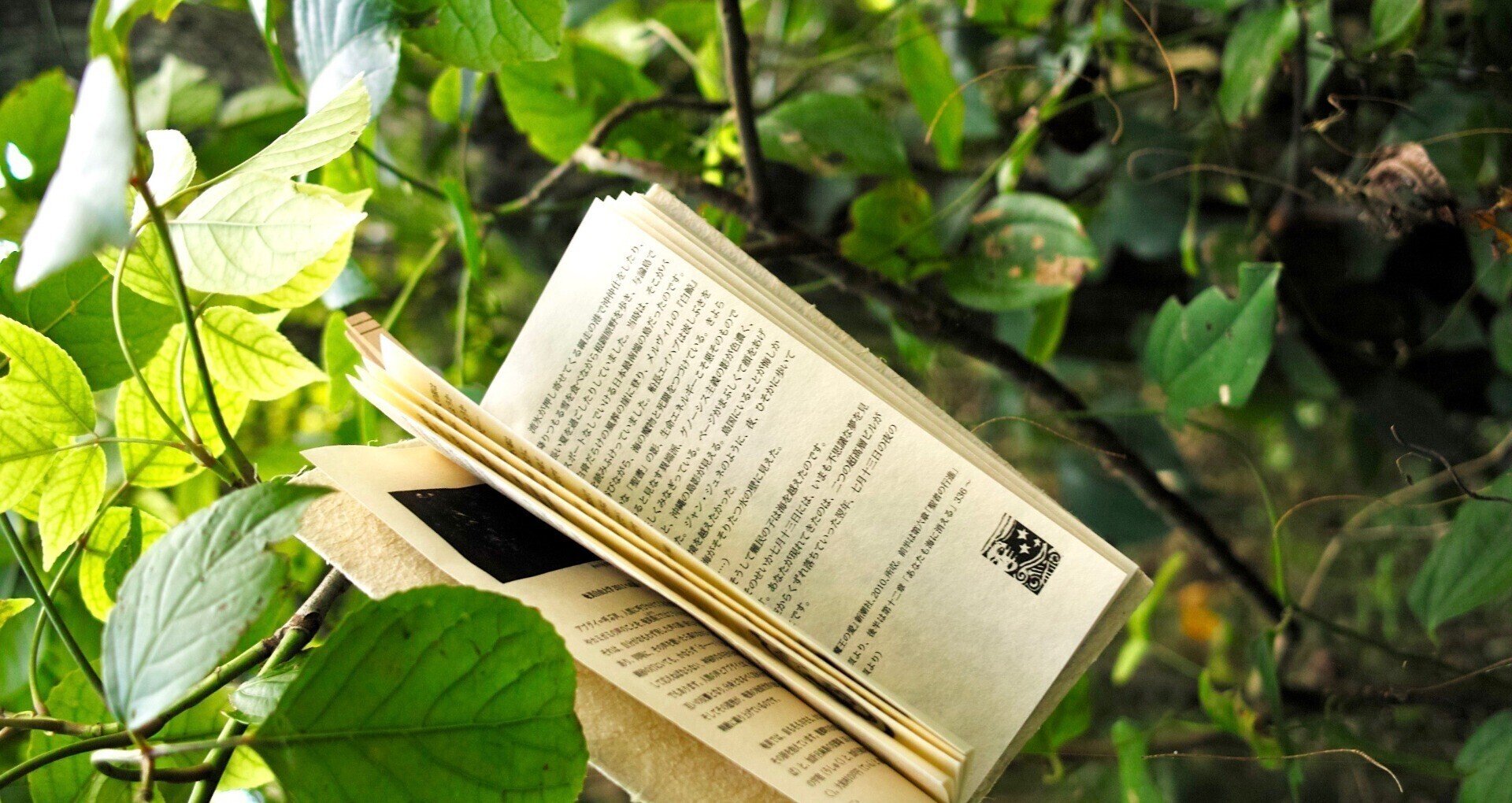 Saudade Books｜note