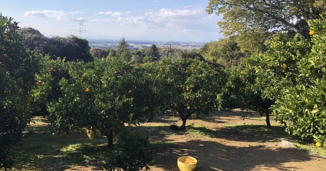 11月9日「ラテラン教会の献堂の祝日」｜「今朝の祈り」オフィシャル