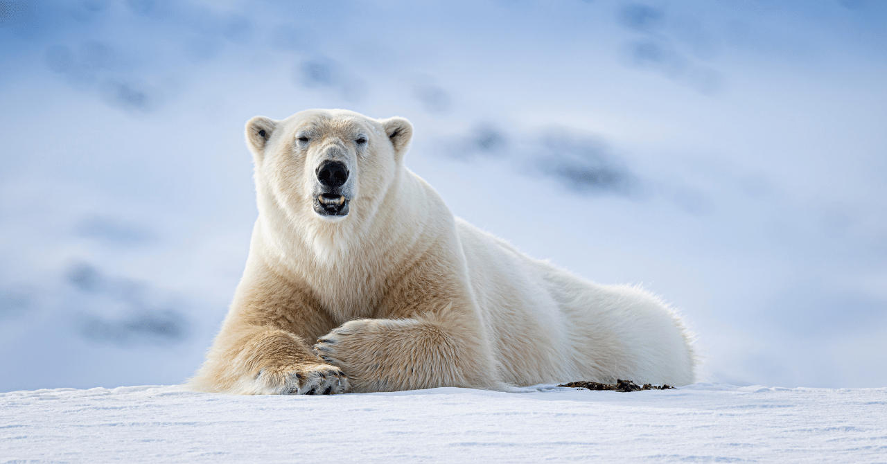 失敗しないように育てるのではなく、失敗から学べる人に育てる！｜Hiromu CANTERA