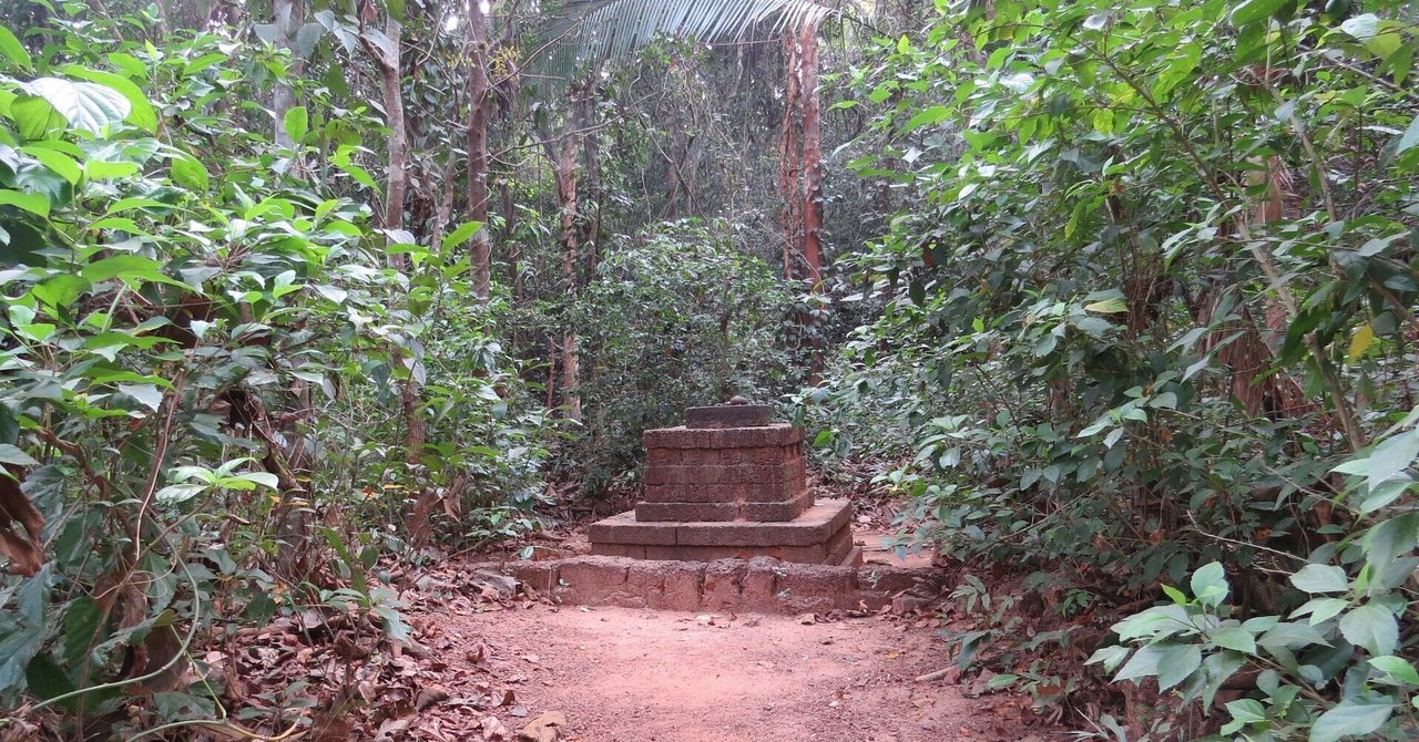 マラヤーラム語を学ぼう ｜今日のことば 09｜Pavanayi