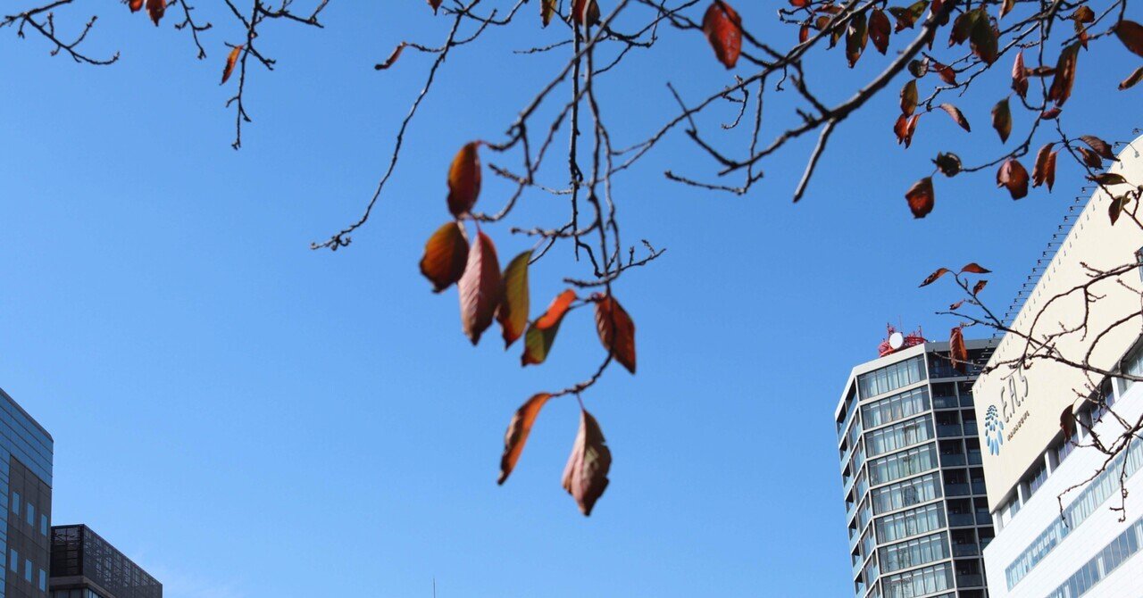 サボっちゃったぜ｜yukkey