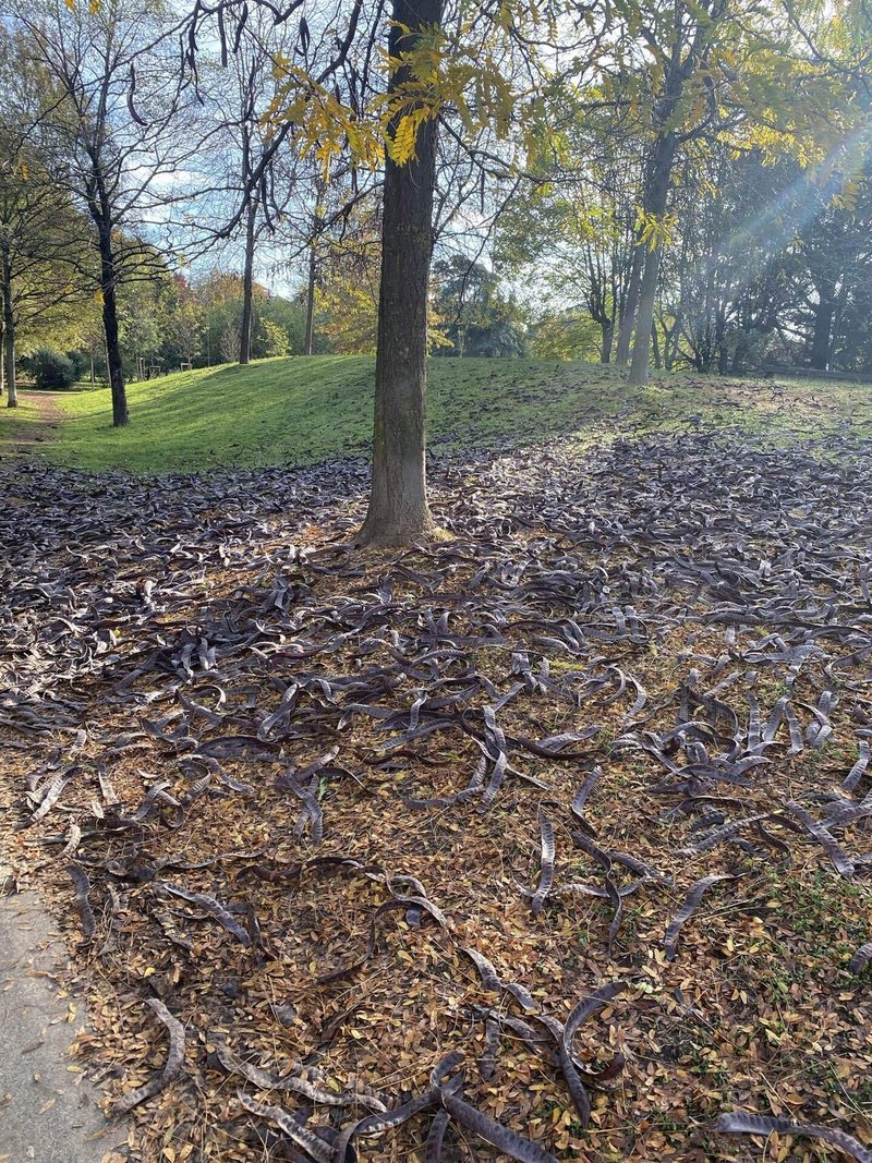 イタリア滞在36〜38日｜城 拓 / Hiroshi Jo｜note