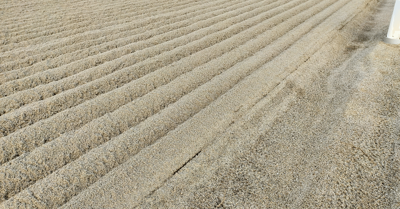 武蔵野ステークス2022最終追い切り評価🐎｜webwriter_U