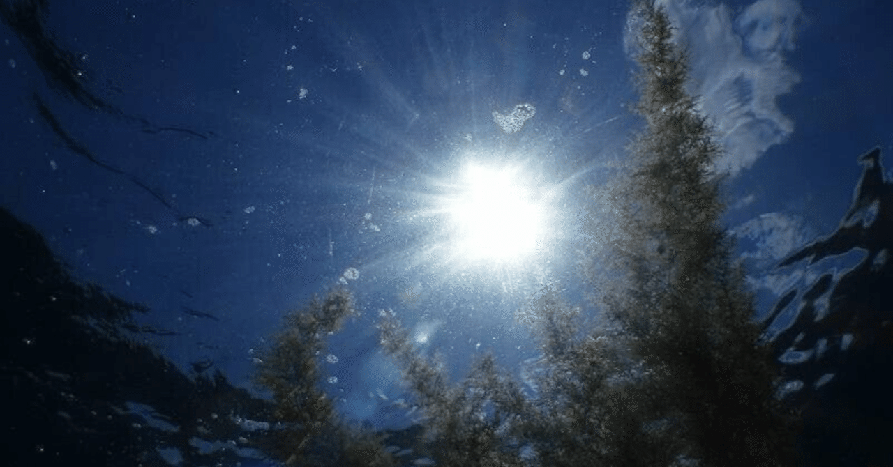 はじめに｜Nautilus