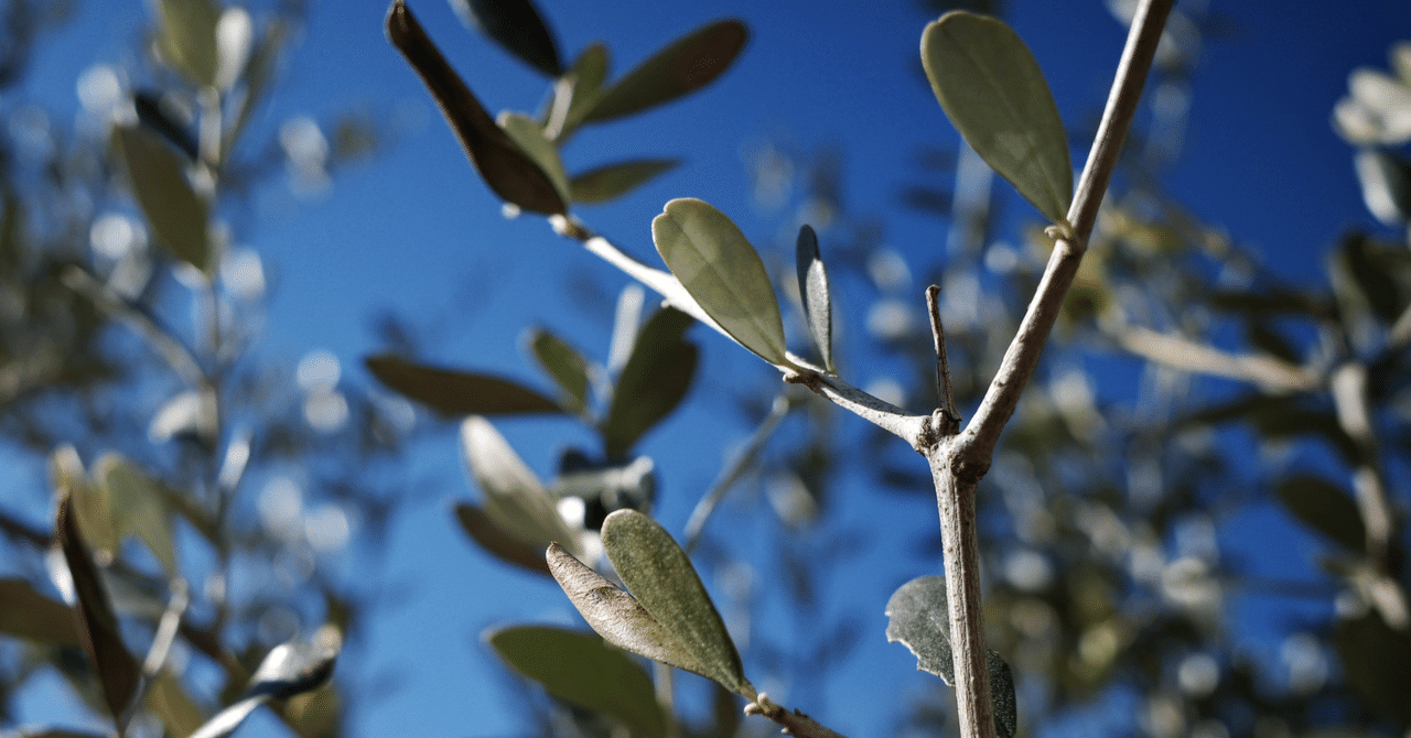 逃げるために勉強する｜haruka.ouj｜note