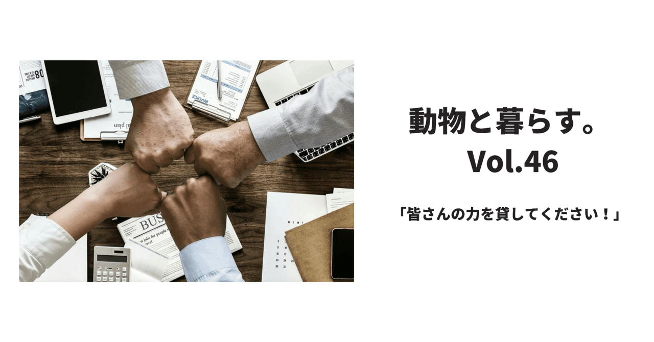 動物と暮らす。 Vol.46｜HEKA Petlife株式会社