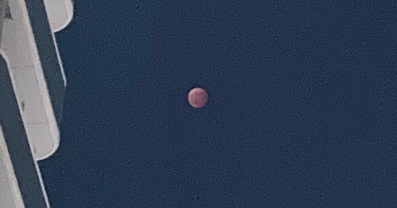 まるッとお見通し｜tomoka｜note